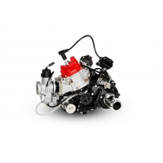125cc ROTAX MAX DD2 EVO